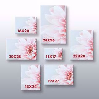 11 x 17 Canvas Prints | Rent A Press